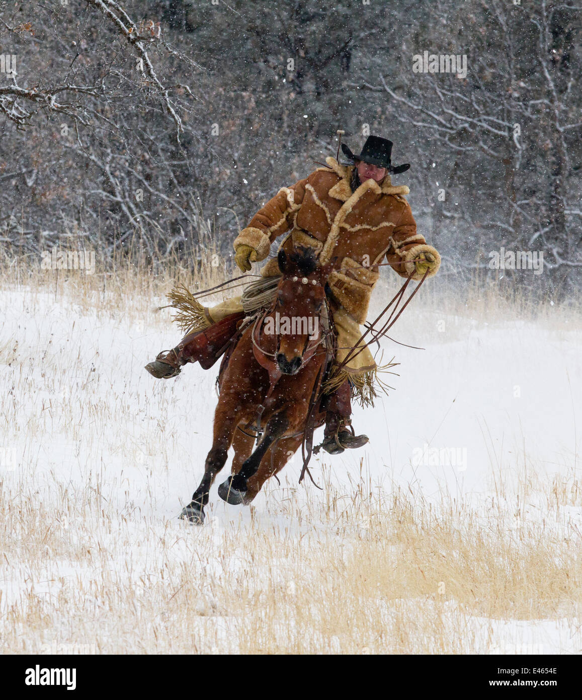 Sheepskin coat hi-res stock photography and images - Alamy