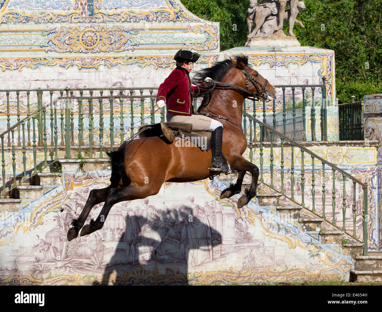 Lusitano horse, man training stallion in dressage steps, the high leap ...
