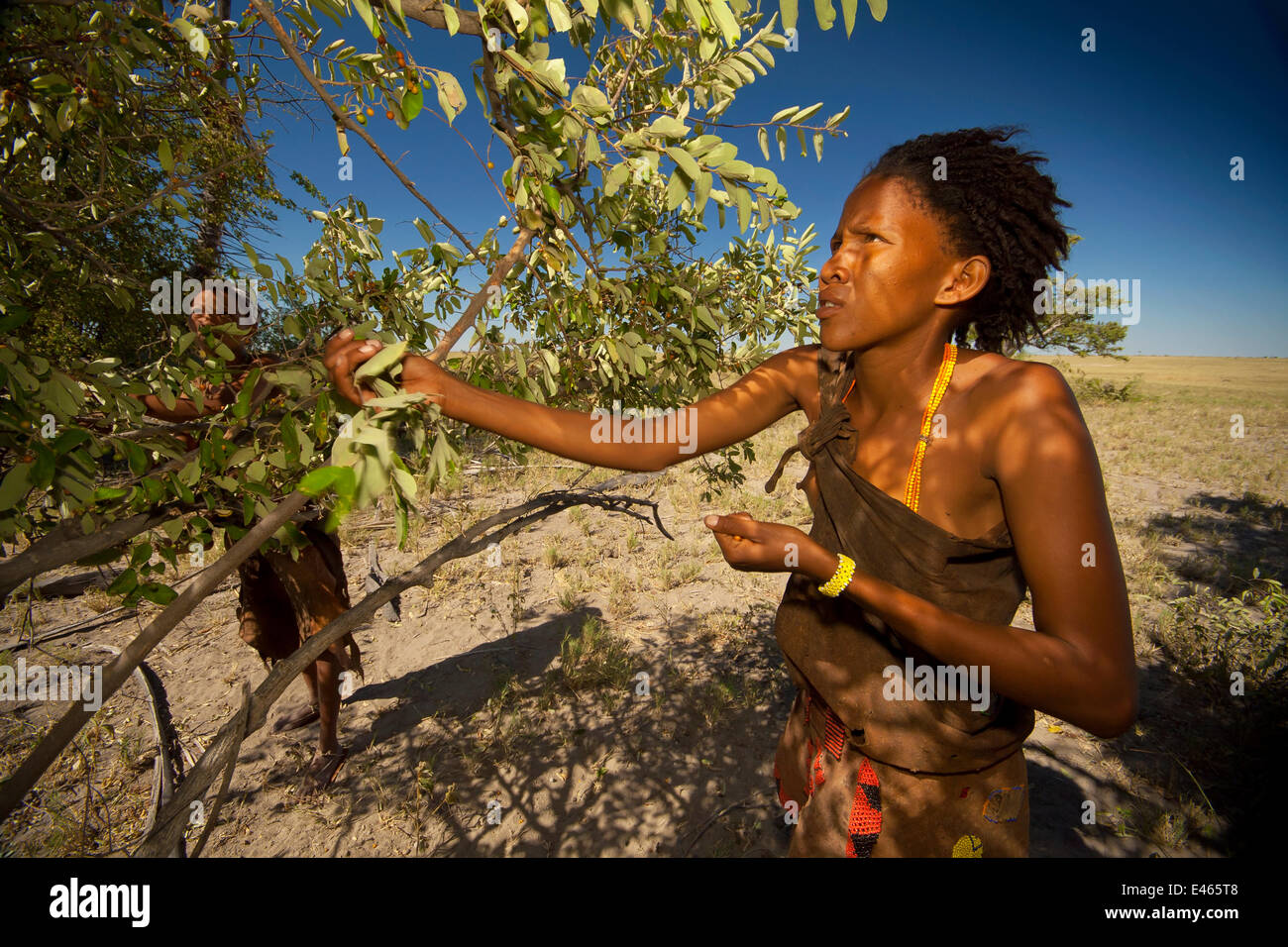 Bushman woman of the botswana hi-res stock photography and images - Alamy