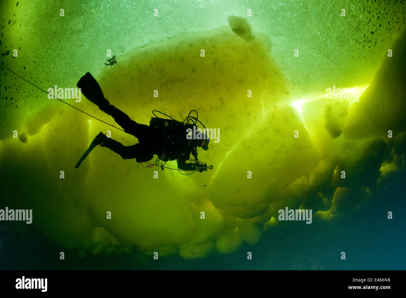 Scuba diver under ice and ice formation, Arctic circle Dive Center ...