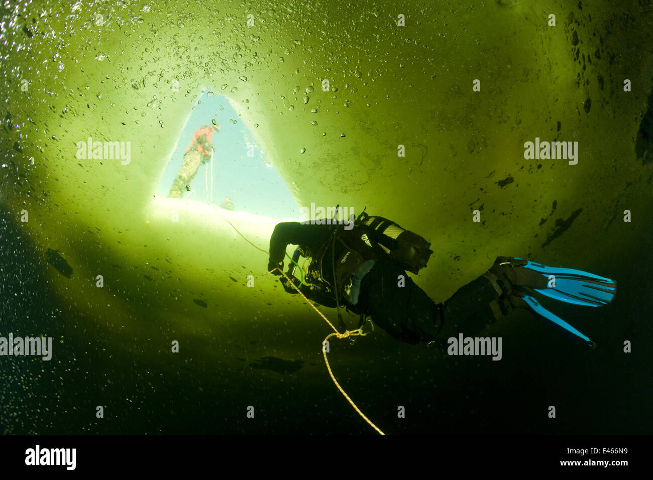 Scuba diver under ice, surfacing to the hole, viewed from underneath ...
