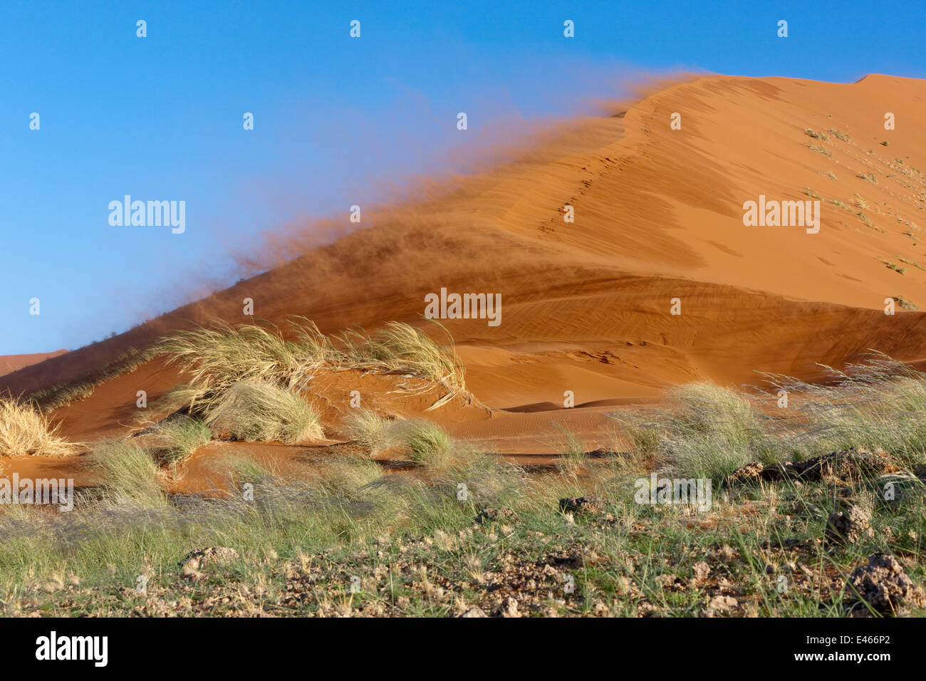 Sossusvlei dunes, wind in rainy season, Namib-Naukluft National Park ...