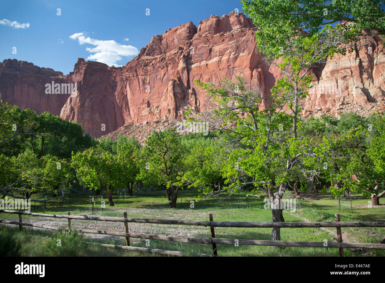 Torrey, Utah - Fruit orchard at the old Mormon town of Fruita in ...