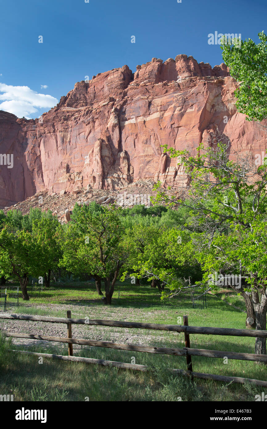 Torrey, Utah - Fruit orchard at the old Mormon town of Fruita in ...