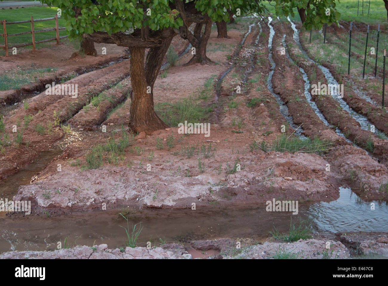 Torrey, Utah - Irrigation of fruit orchards at Capitol Reef National ...