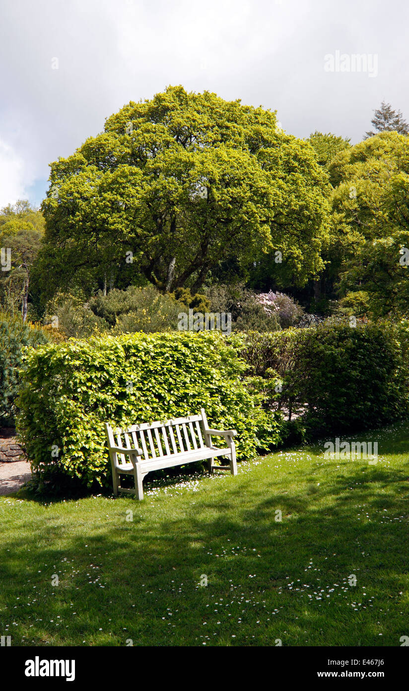Peaceful shaded garden seating area hi-res stock photography and images ...