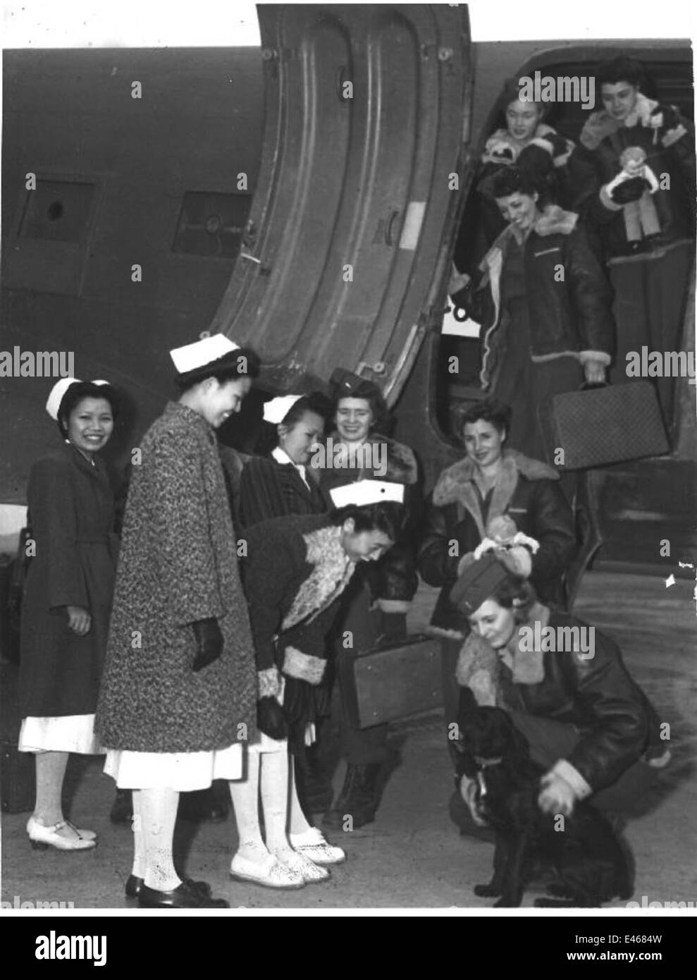 Flight nurse wwii hi-res stock photography and images - Alamy