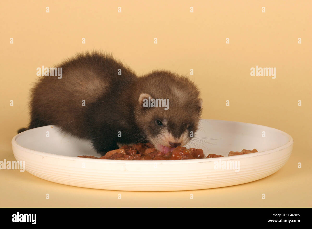 One munches hi-res stock photography and images - Alamy