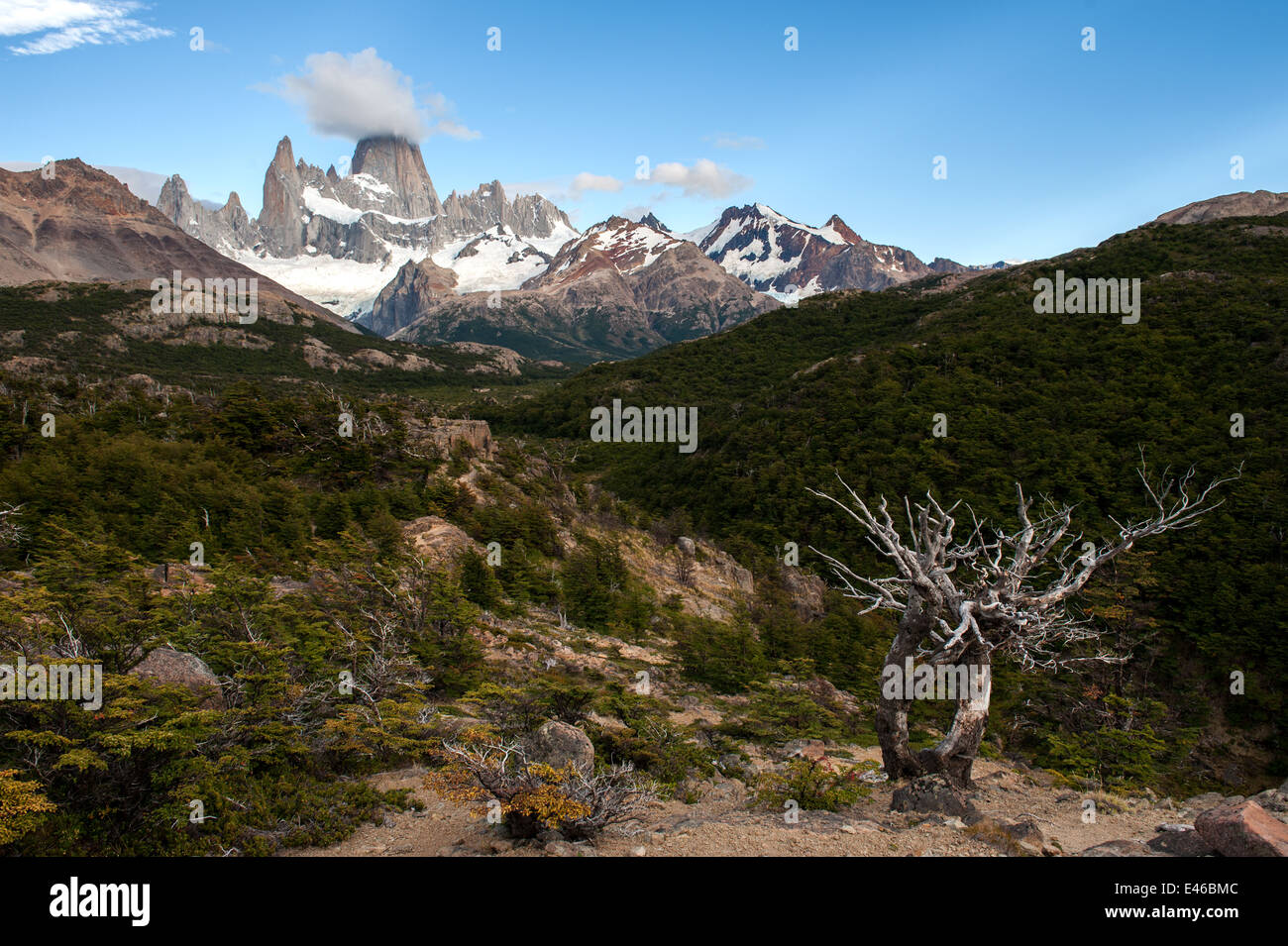 Cerro Fitz Roy, Patagonia, Argentina, El Chaltén Stock Photo - Alamy