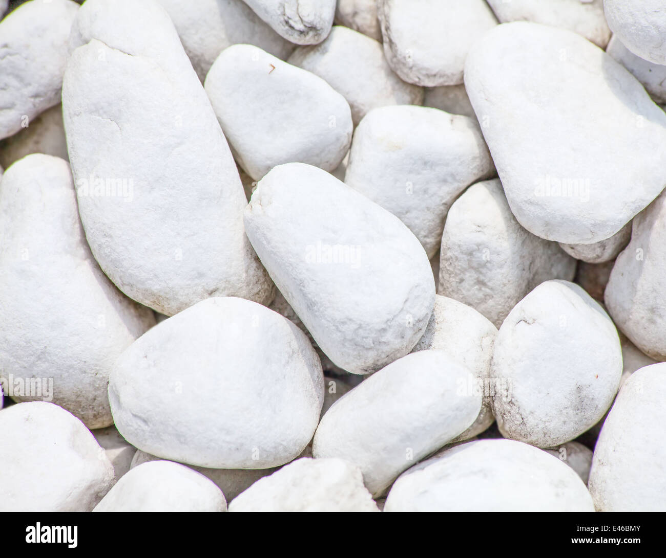 close-up of the white pebbles Stock Photo - Alamy