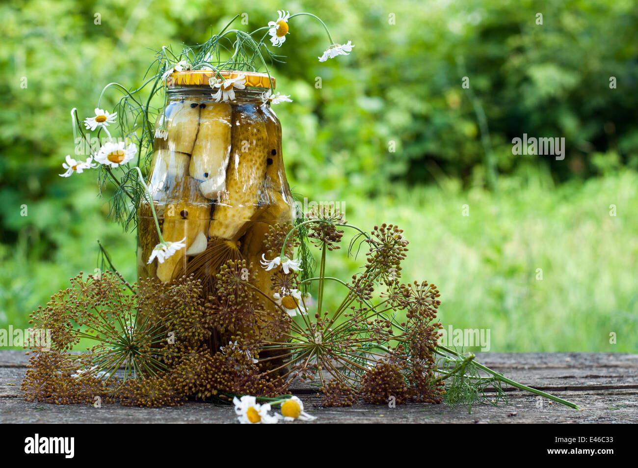 canning homemade canned cucumber pickled banks food flowers daisy face ...
