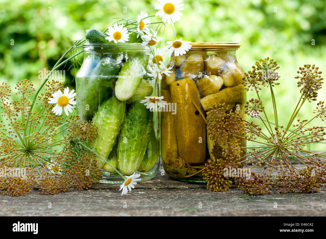 canning homemade canned cucumber pickled banks food flowers daisy face ...