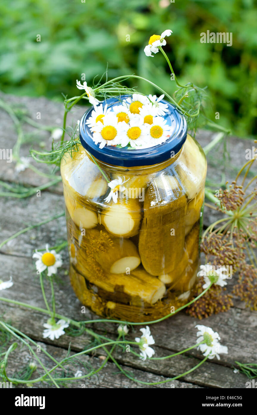 canning homemade canned cucumber pickled banks food flowers daisy face ...