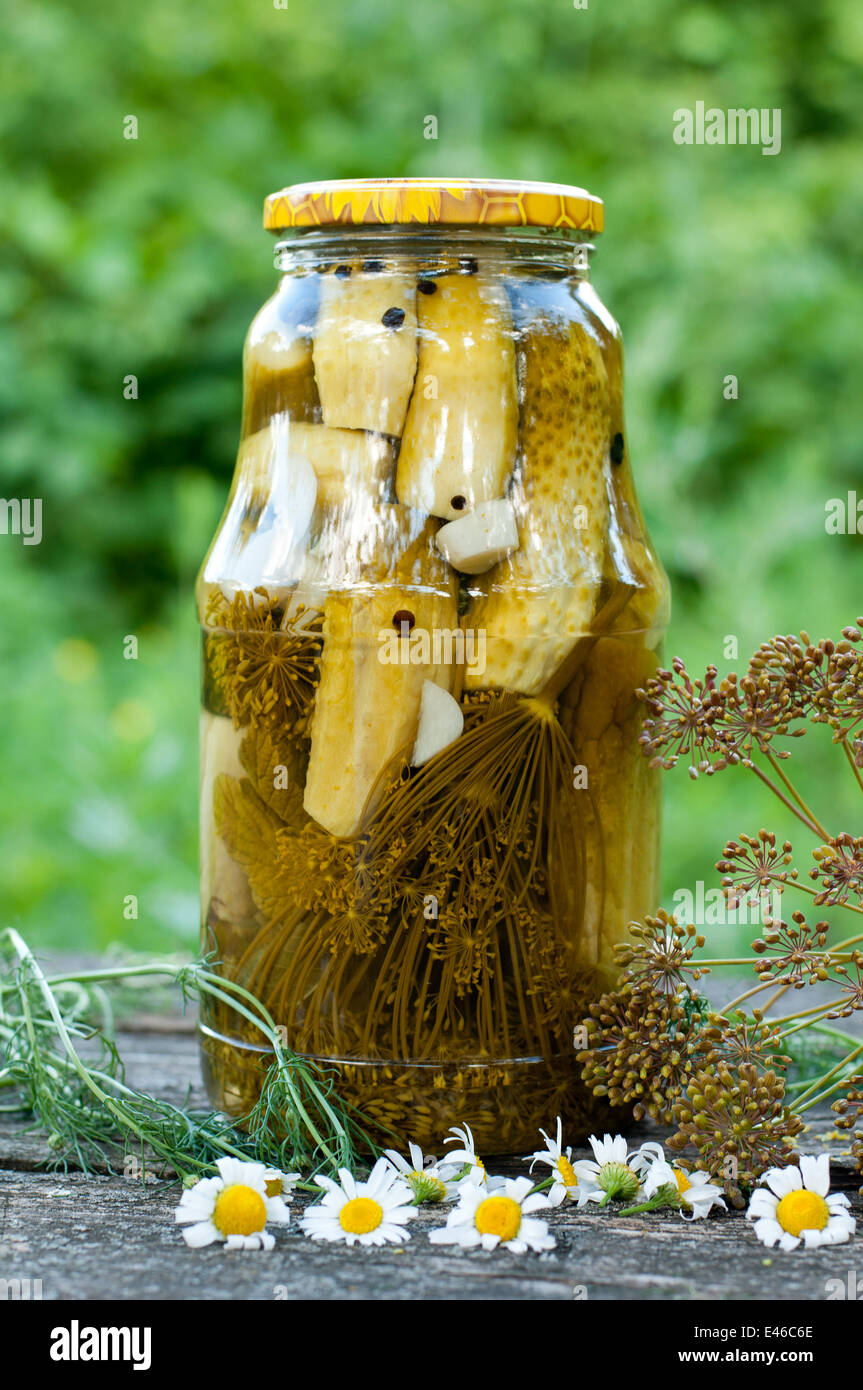 canning homemade canned cucumber pickled banks food flowers daisy face ...