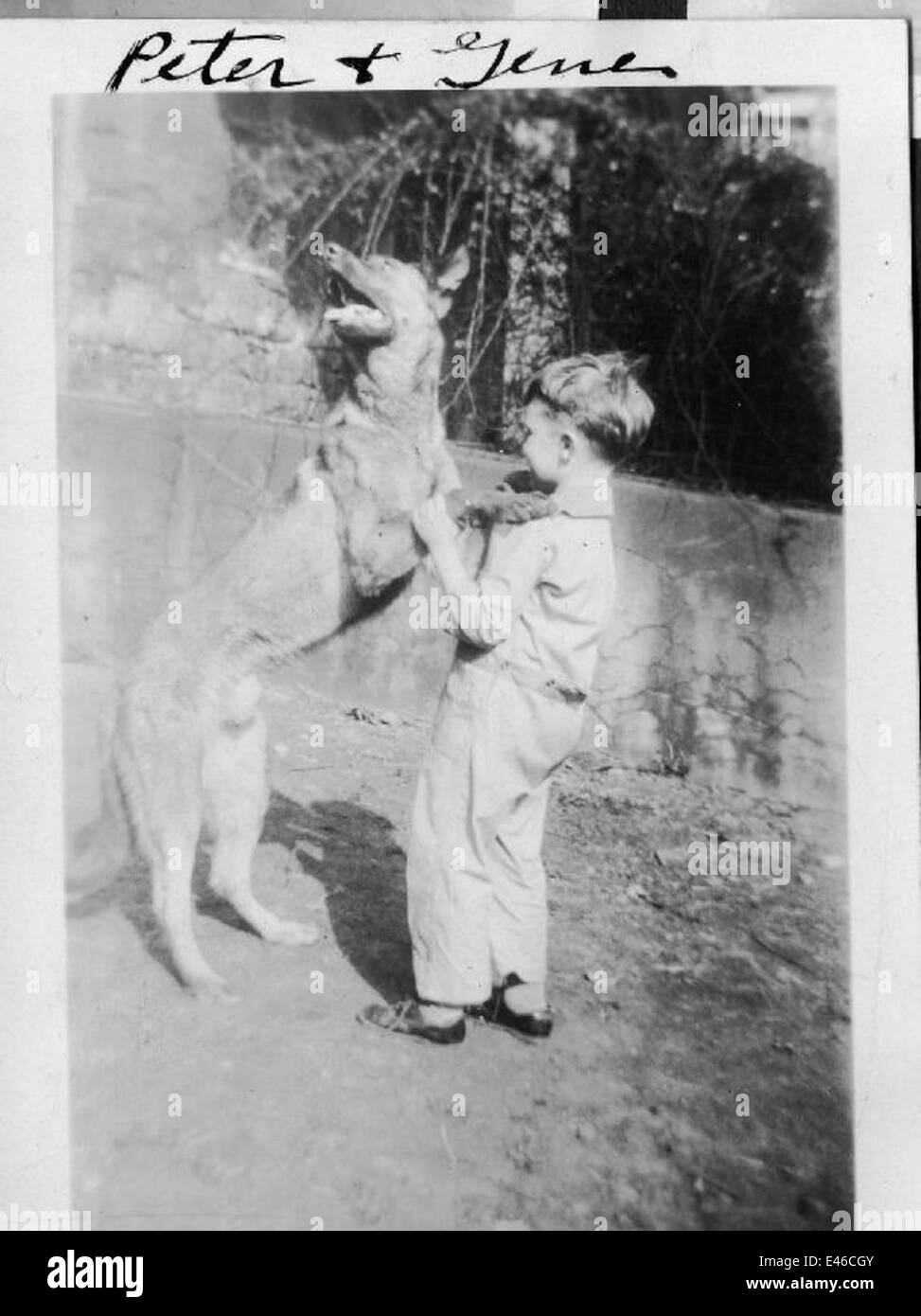 Helen Richey was one of the first women to become a licensed aviator ...