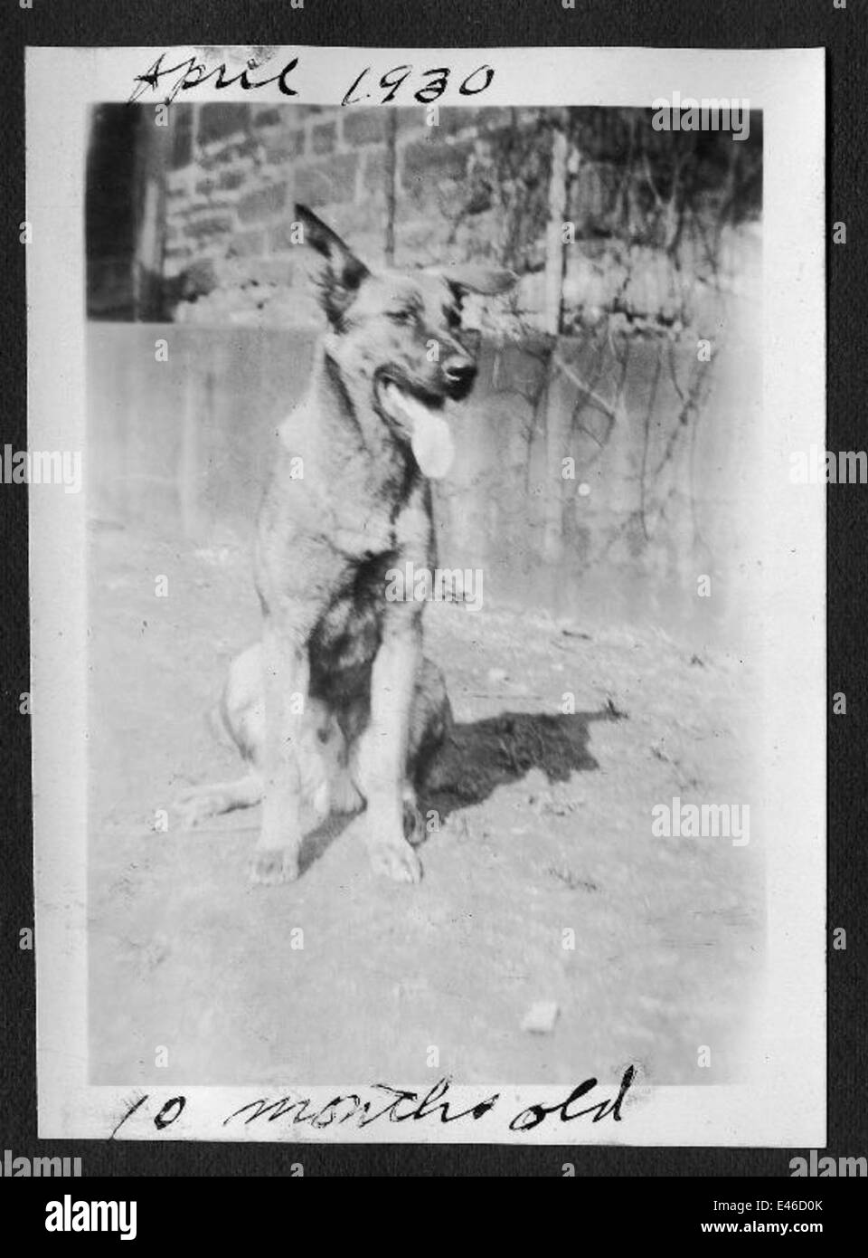 This image features Helen Richey, an early female aviator, known for ...