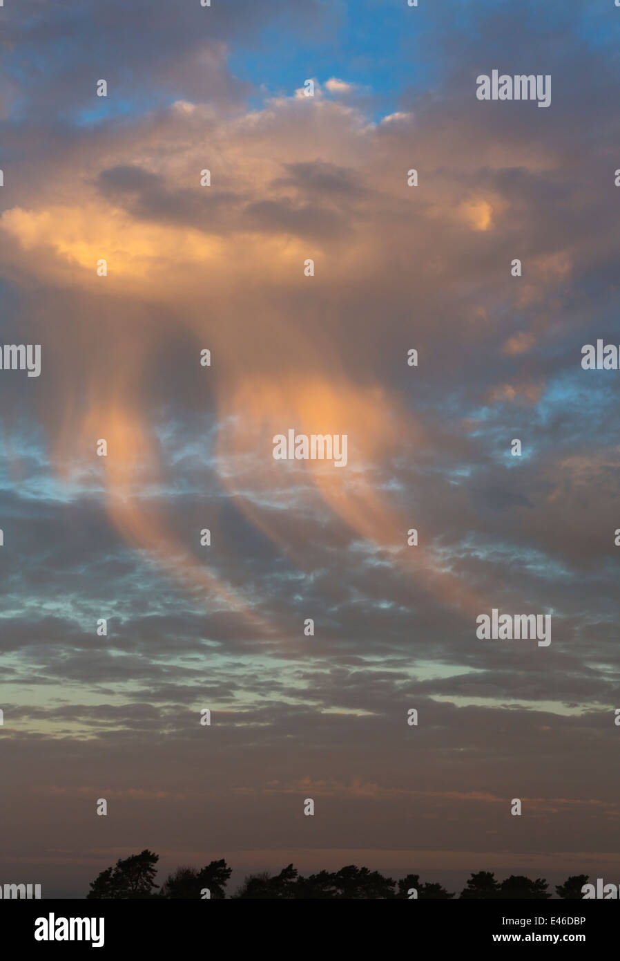 Virga clouds in the early morning sun Stock Photo - Alamy