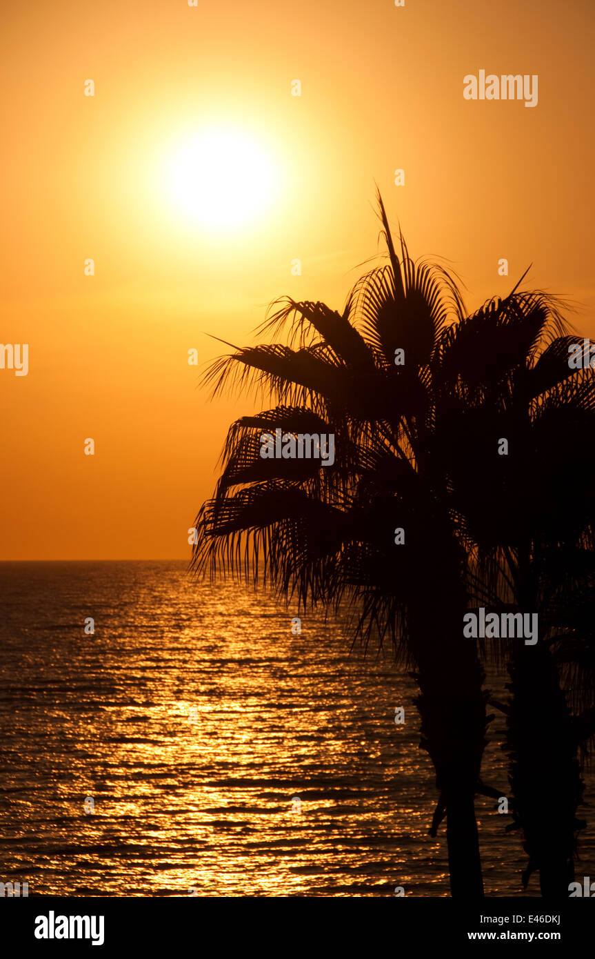 Sunset beach, evening sea, palm trees Stock Photo - Alamy