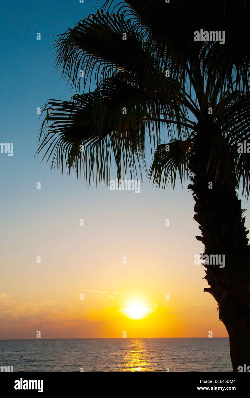 Sunset beach, evening sea, palm trees Stock Photo - Alamy