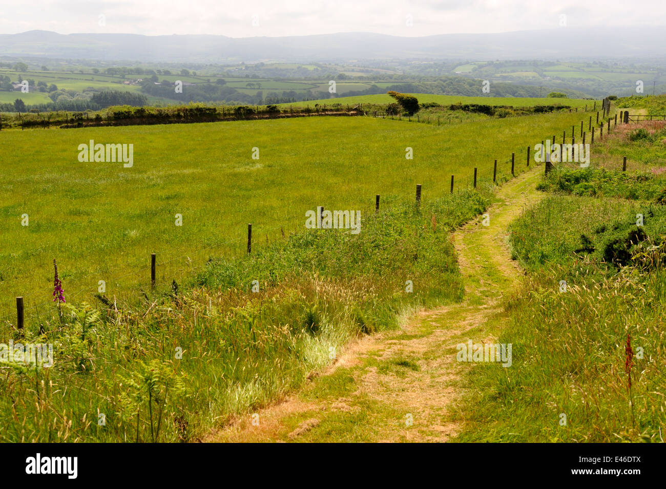 Grass covered footpath fenced off from agricultural field by barbed ...