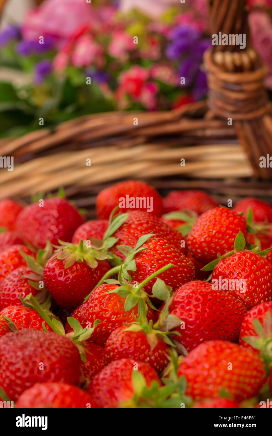 Organic strawberries hi-res stock photography and images - Alamy