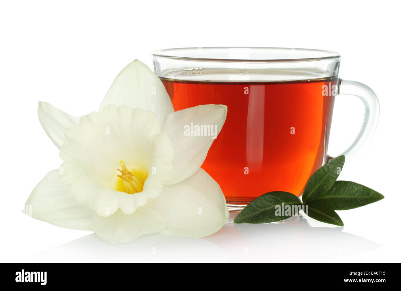Cup of tea with flower and leaves on white background Stock Photo - Alamy