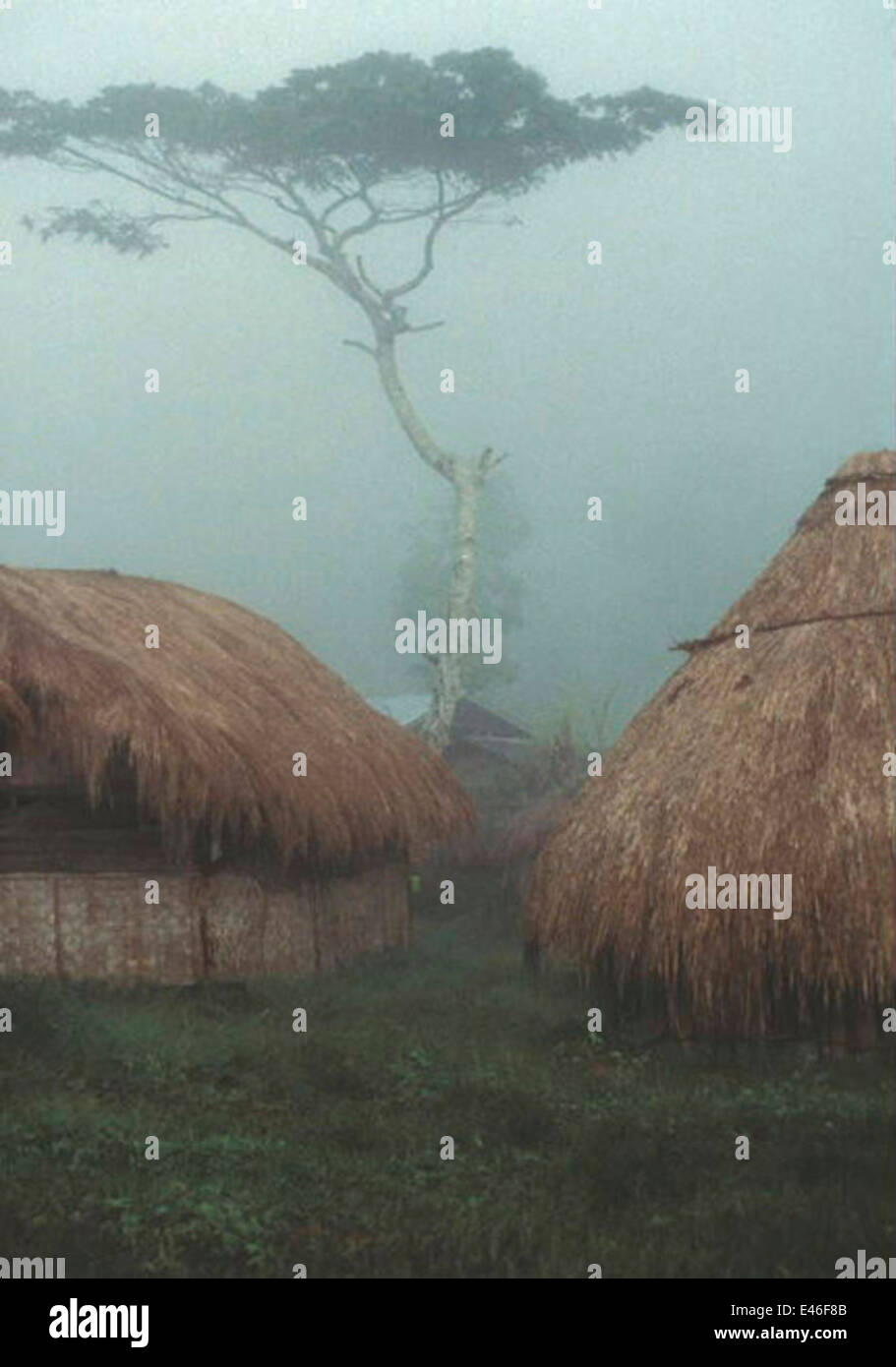 Ira Java native grass huts Stock Photo - Alamy