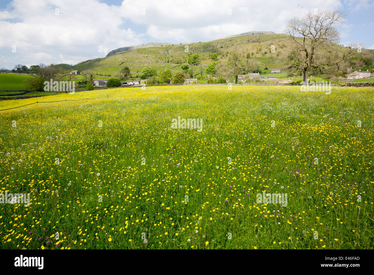 Hay meadows in flower hi-res stock photography and images - Alamy