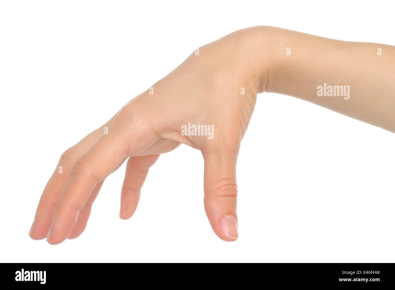 Woman hand on white backround Stock Photo - Alamy