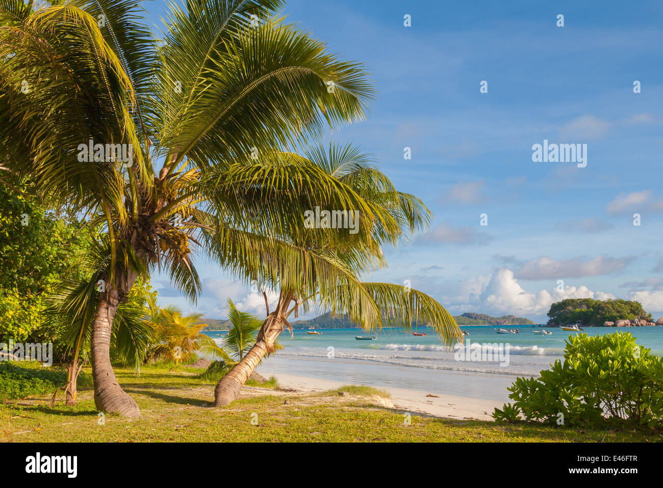 Beautiful Tropical Beach In The Seychelles Stock Photo - Alamy