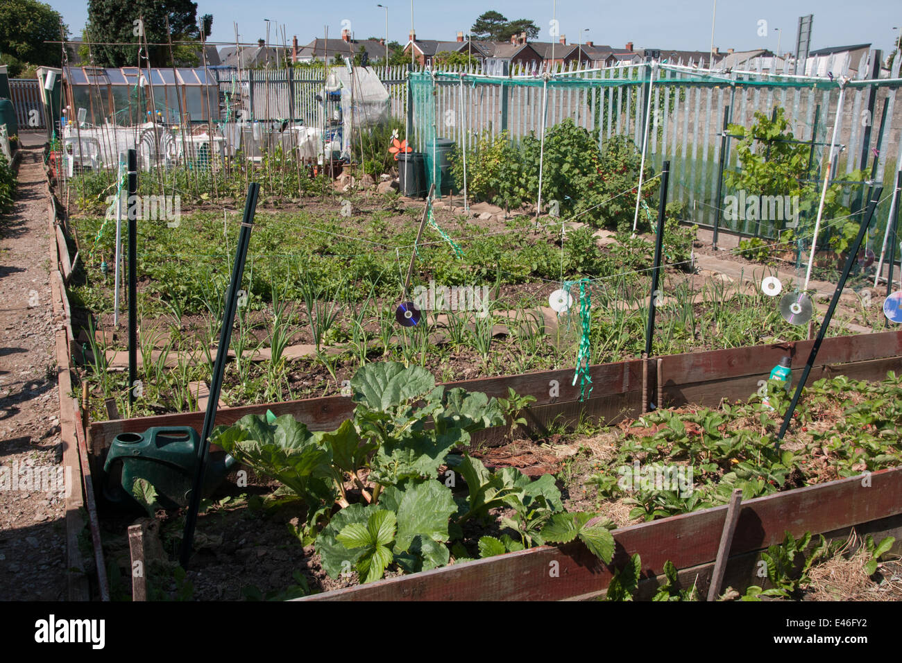 Cds allotment hi-res stock photography and images - Alamy