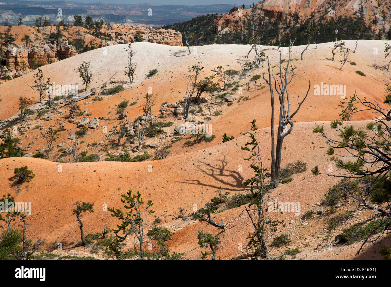 Tropic utah hi-res stock photography and images - Alamy
