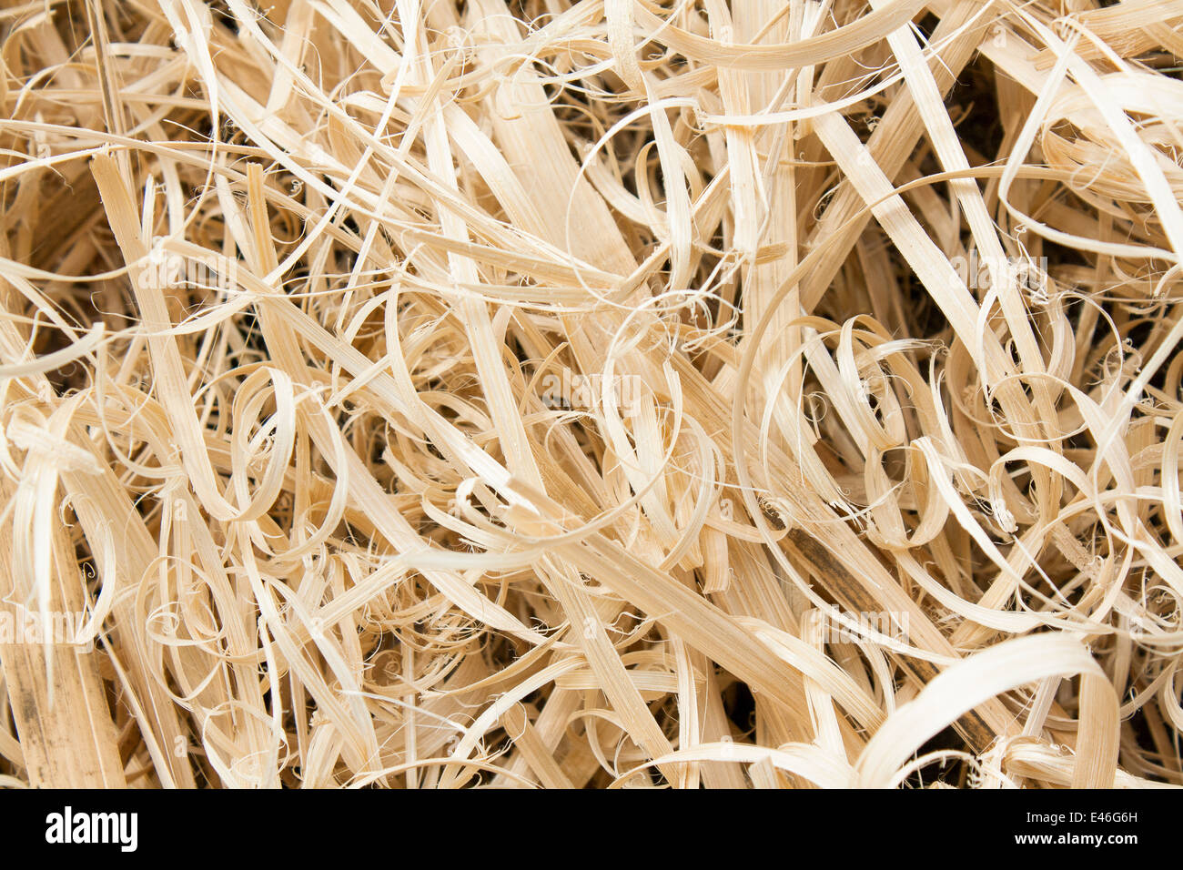 Bamboo grass pattern hi-res stock photography and images - Alamy