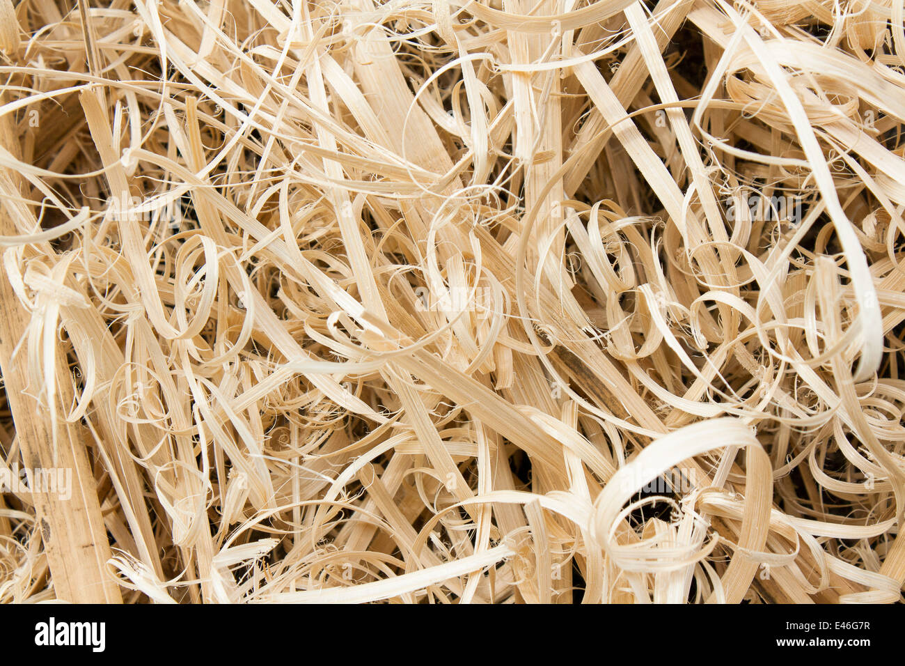 Bamboo grass pattern hi-res stock photography and images - Alamy