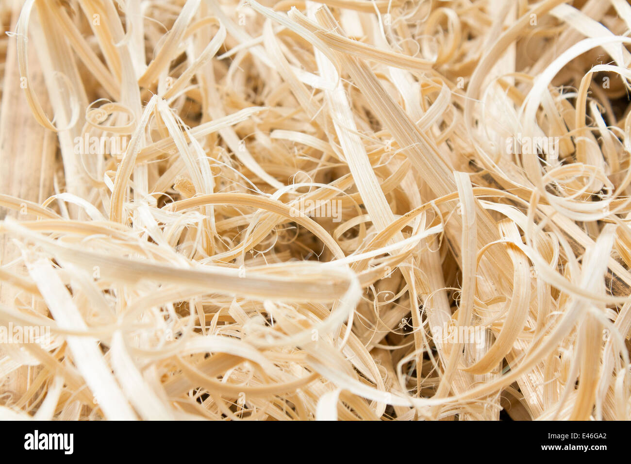 Bamboo grass pattern hi-res stock photography and images - Alamy