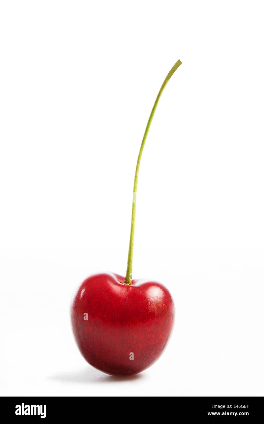 Single cherry on a white background Stock Photo - Alamy