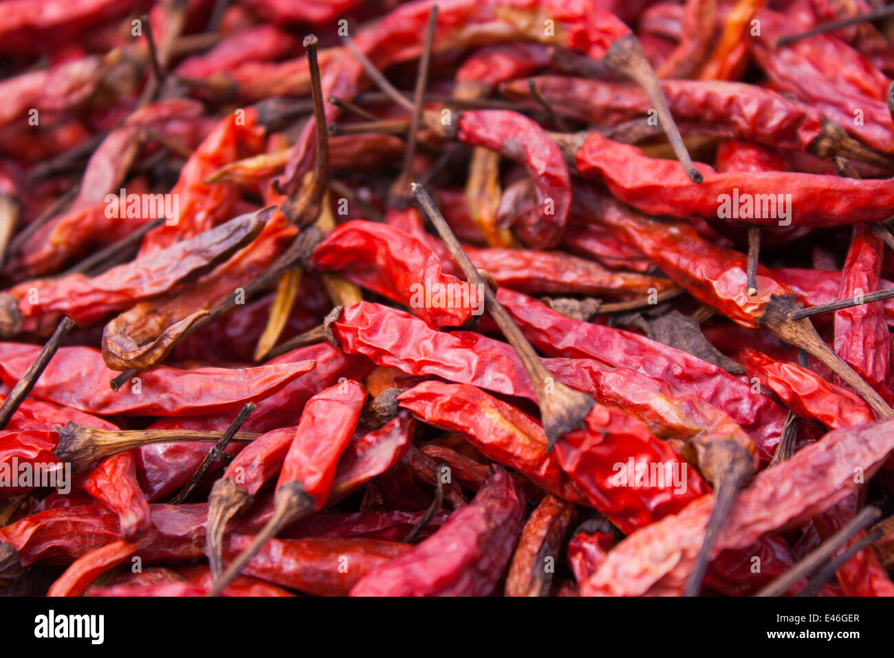 dried pepper,pepper is the best spicy vegetable Stock Photo - Alamy