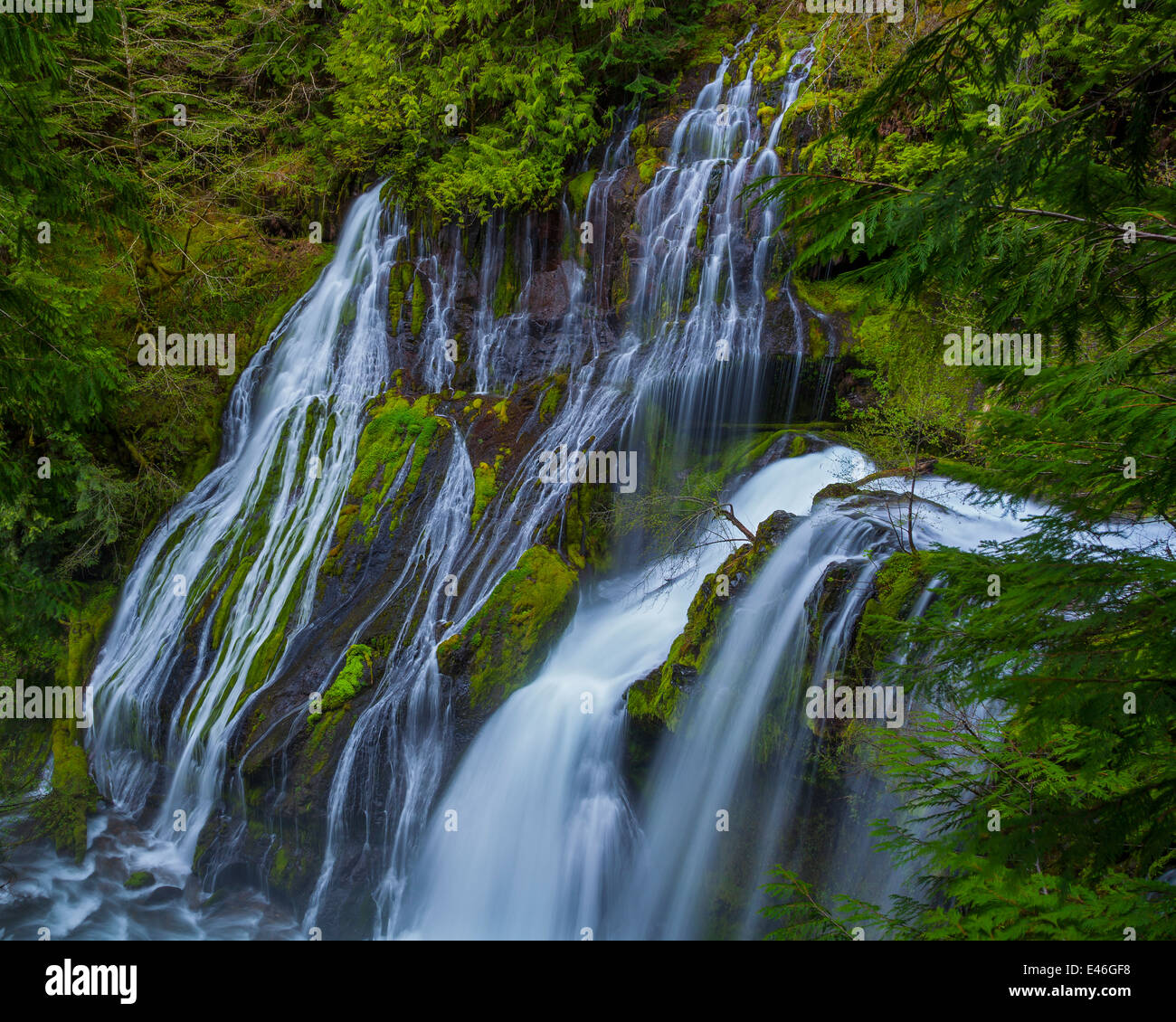 Gifford Pinchot National Forest, WA: Panther Creek Falls Stock Photo ...