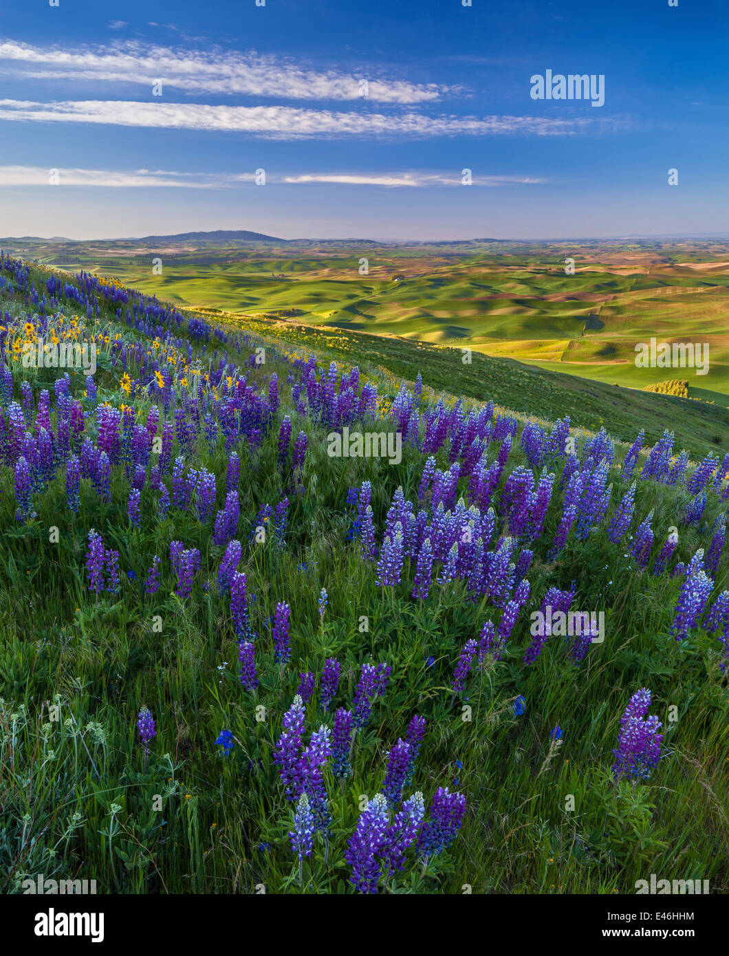 Palouse country hi-res stock photography and images - Alamy