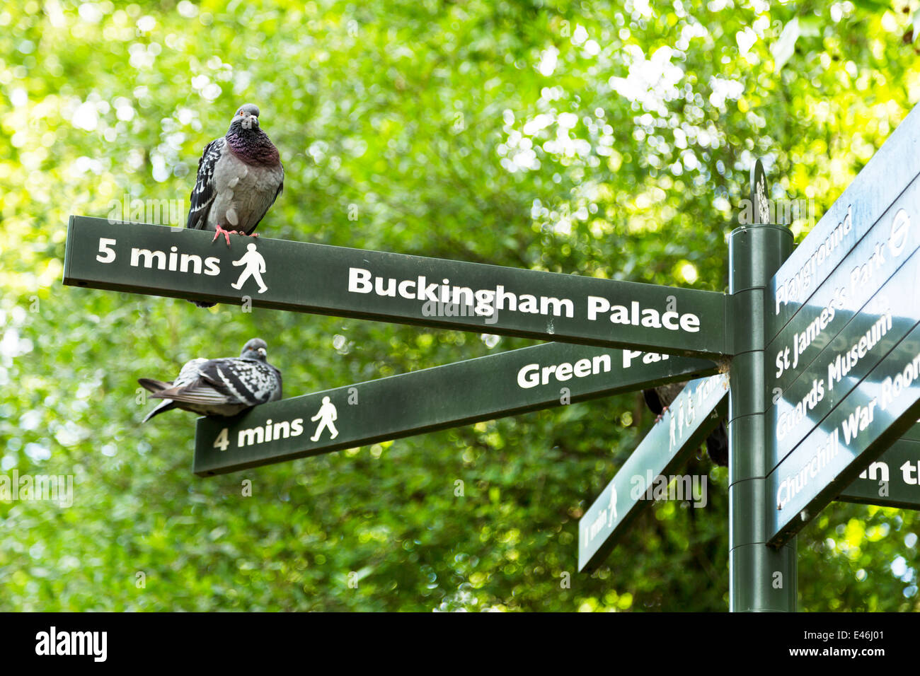 Buckingham palace sign hi-res stock photography and images - Alamy