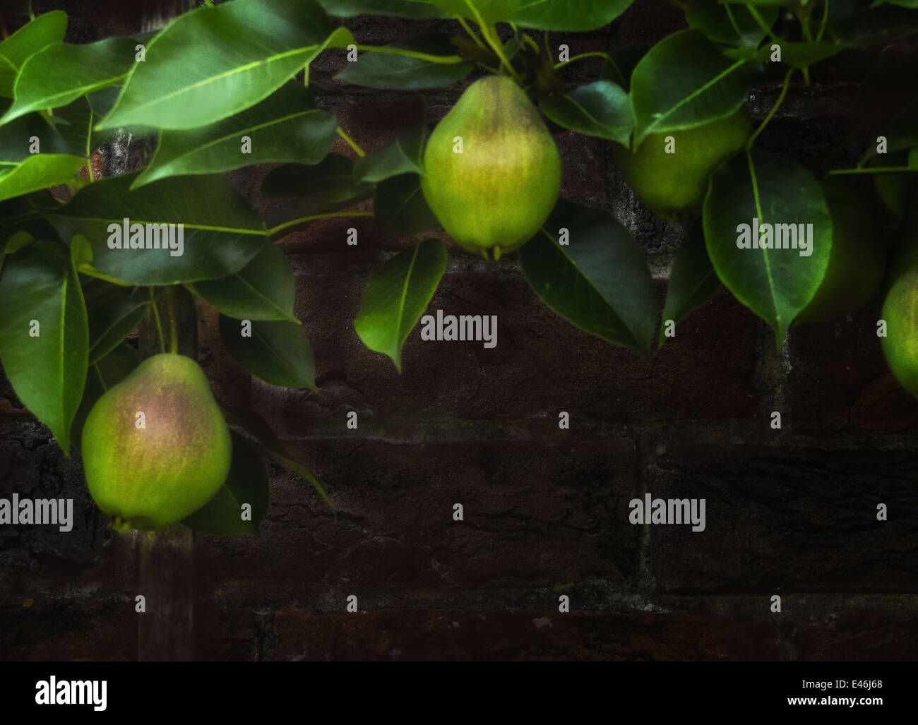 Horizontal horizontal image hi-res stock photography and images - Alamy