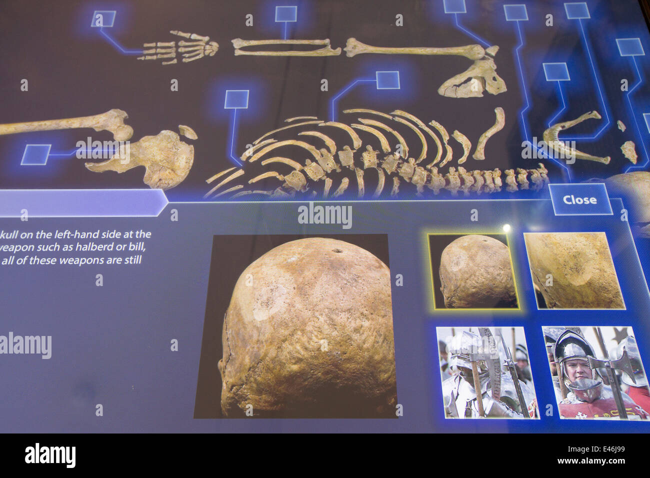 Richard third skeleton hi-res stock photography and images - Alamy