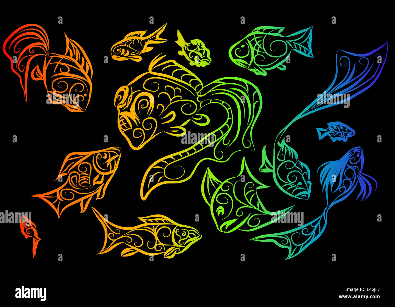 tropical fish 2 Stock Photo - Alamy