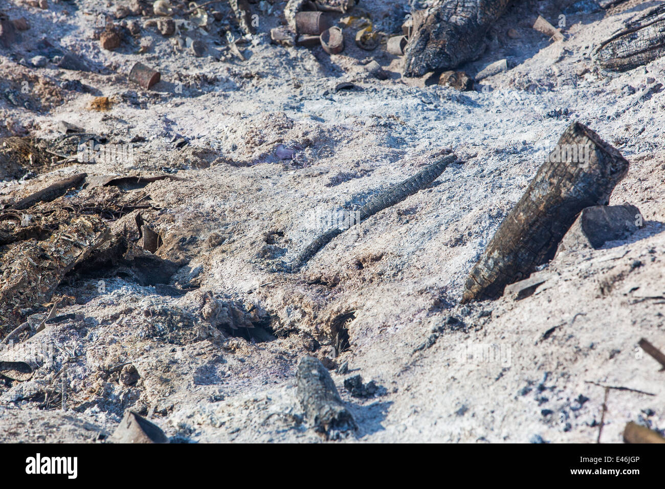 Ash after big fire Stock Photo - Alamy