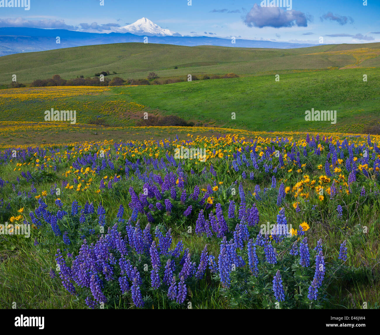 Columbia Hills State Park, WA: Columbia Gorge National Scenic Area ...