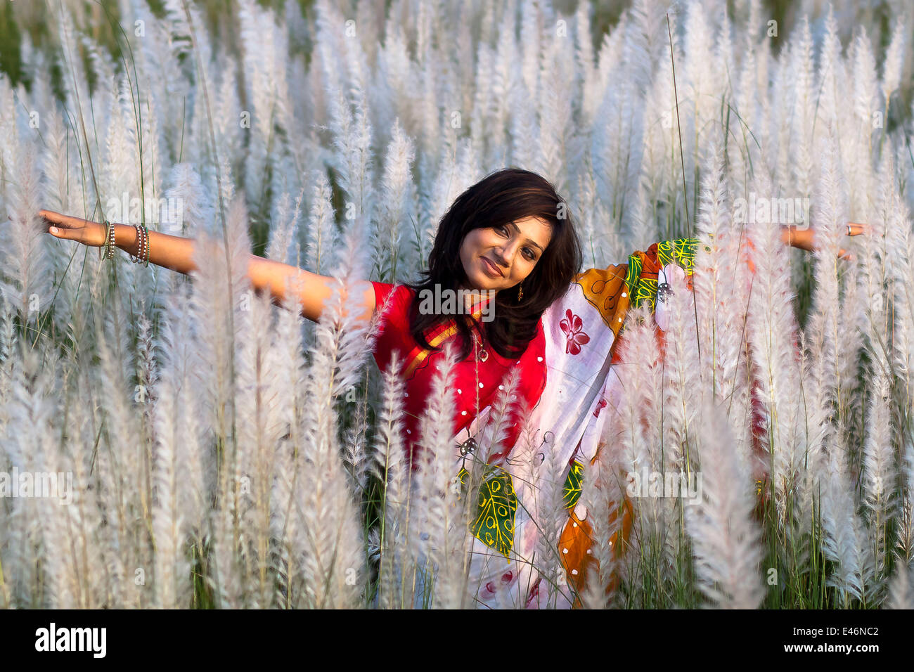 Dhaka,Banglades; Catkins locally known as kash flower.Catkins or ...