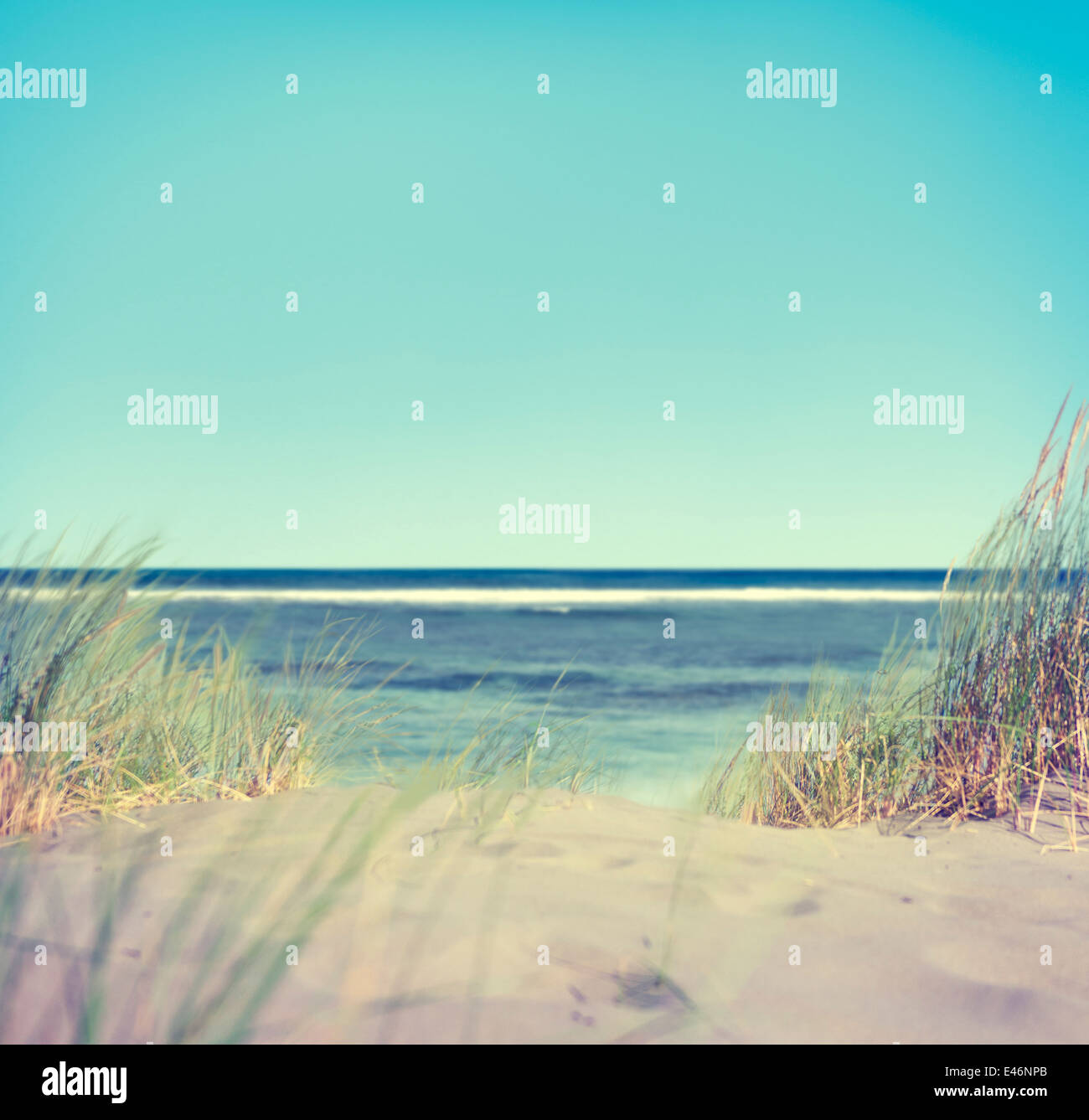 Beach with Grass and Sand Stock Photo - Alamy