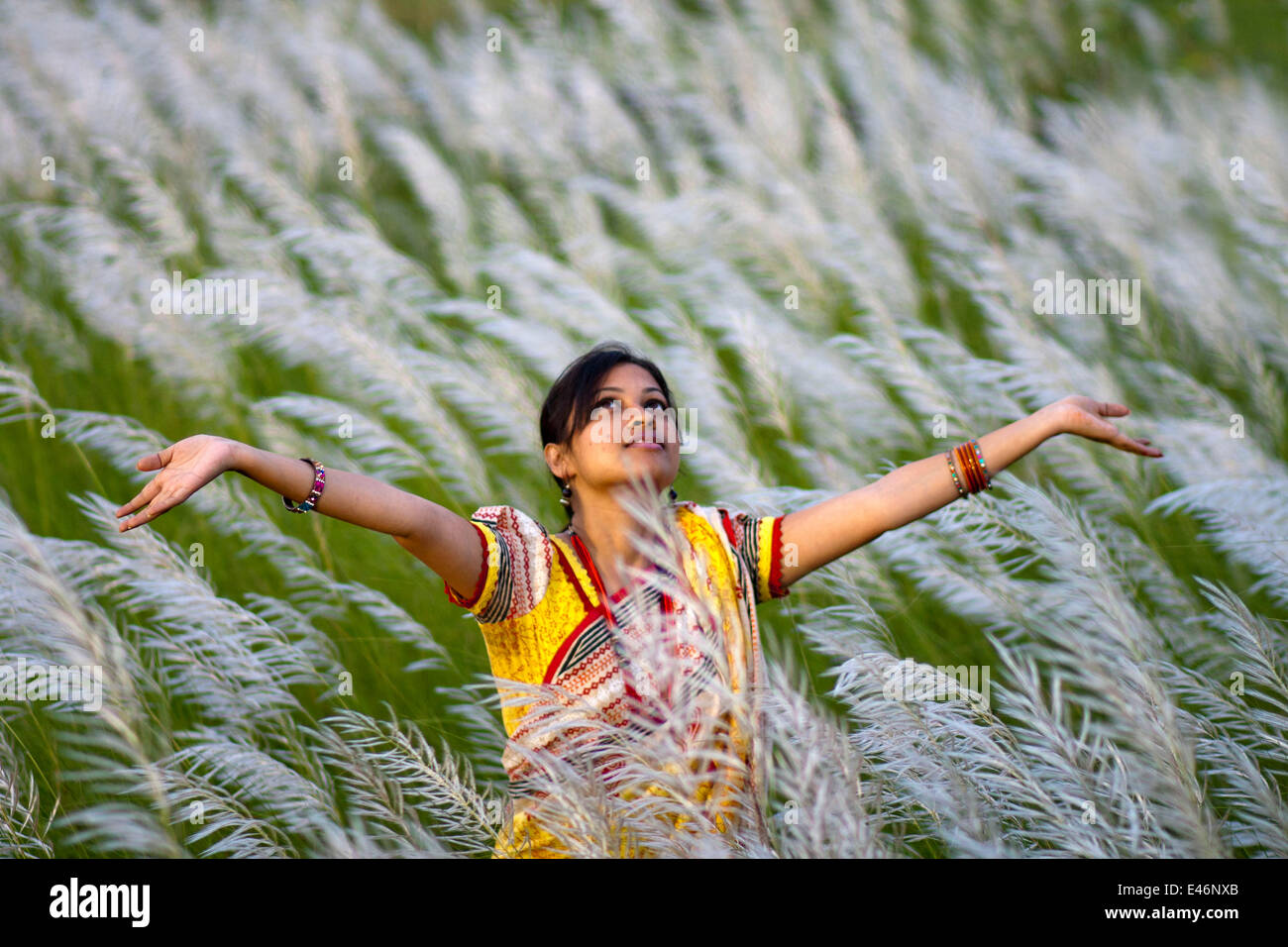 Kash flower hi-res stock photography and images - Alamy