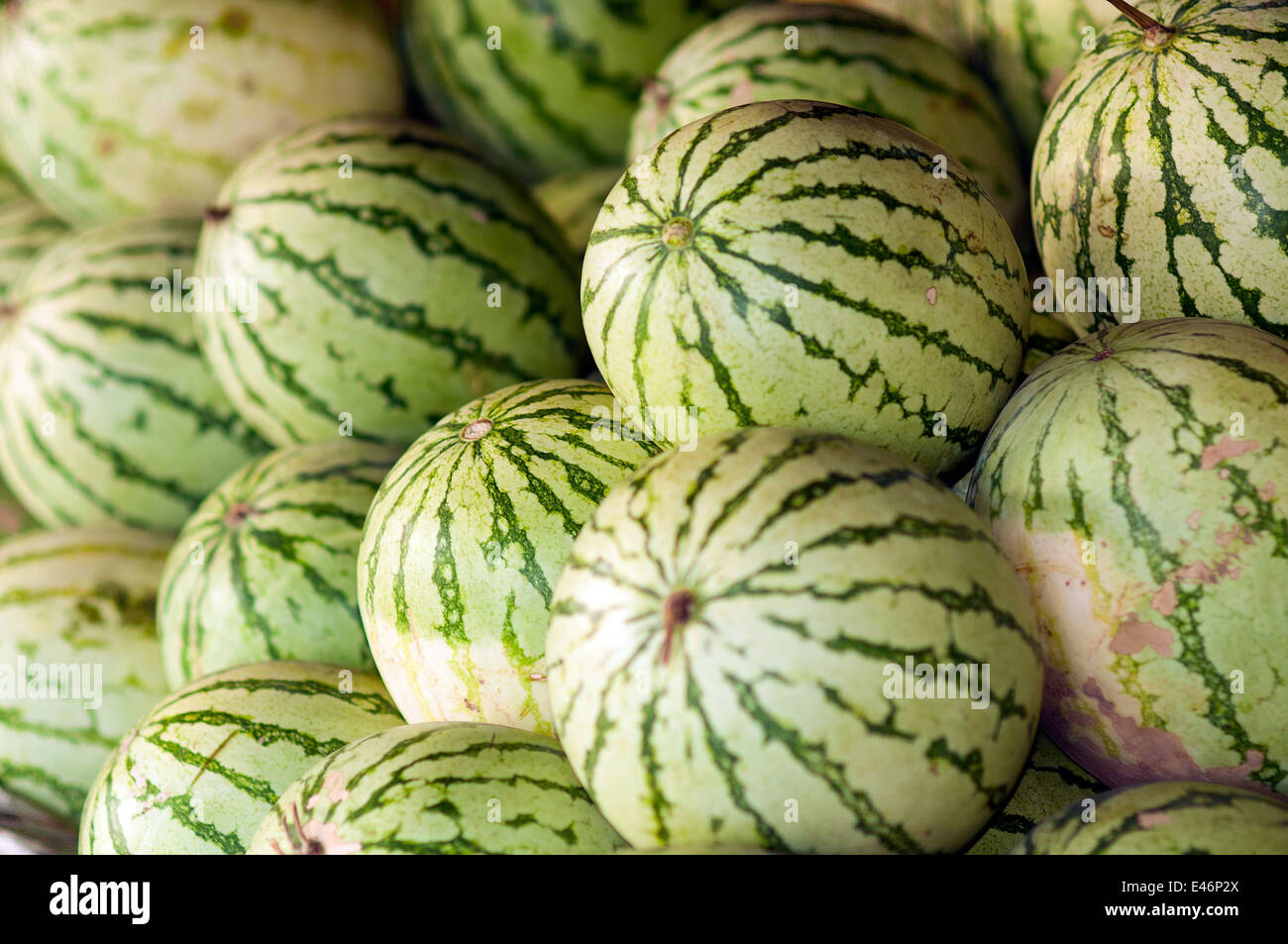 Watermelons for sale hi-res stock photography and images - Alamy