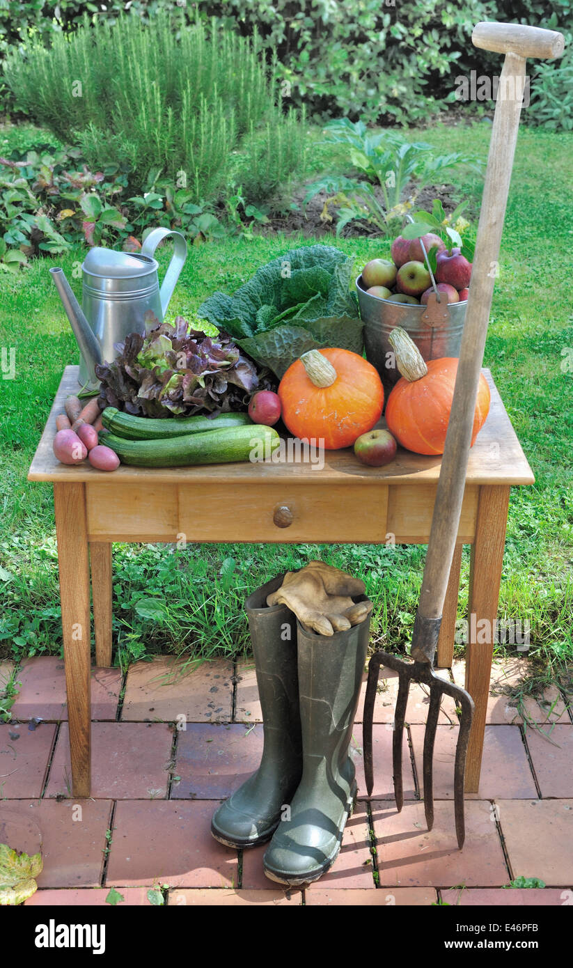 Harvest fruits and vegetables from the garden on a table with tools and ...